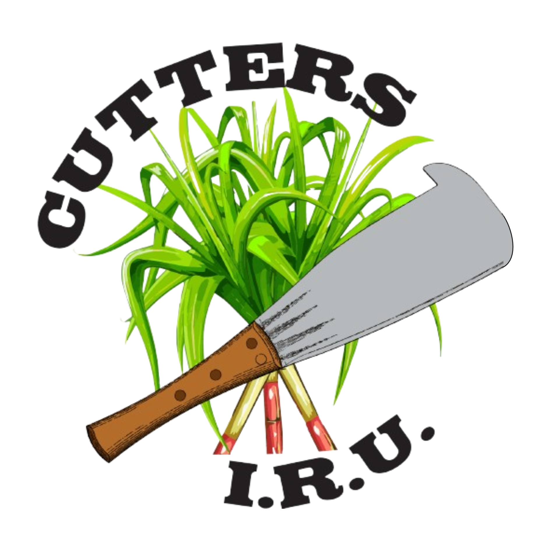 Ingham Cutters Rugby Union – XCD Sports